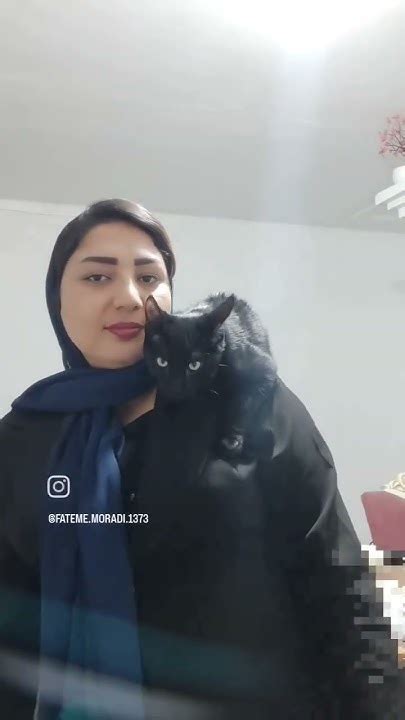 گربه گربهخانگی گربهملوس گربهبامزه حیوانخانگی حیواناتبامزه حیوانات دختر Youtube