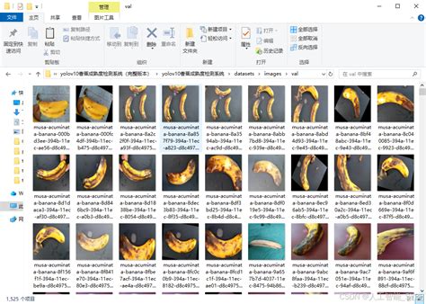 基于yolov8的香蕉成熟度检测系统（深度学习模型 ui界面 python代码 训练数据集） csdn博客