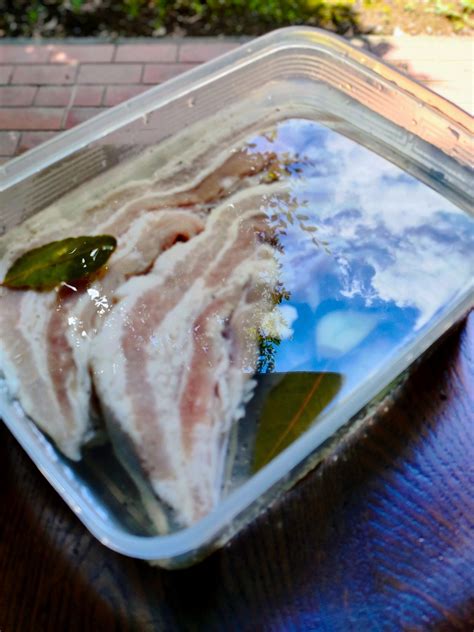 週末のご褒美ごはん 航海日記 ～”あらら”な旅～