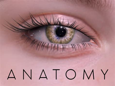 Second Life Marketplace Anatomy Bright Eyes Amber Omega Appliers