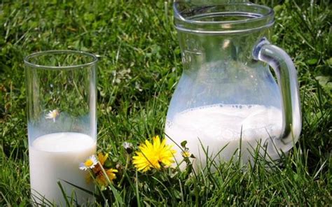 علت بریده شدن شیر کاربردهای جالب شیر خراب و ترشیده راهبرد معاصر