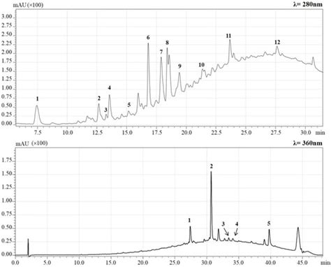 Molecules Special Issue Isolation Identification And Bioactivity