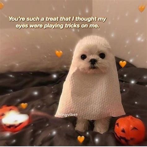 Its Almost Spooky Season🕷🎃 Stupid Memes Funny Memes Minions Reaction Pictures Funny