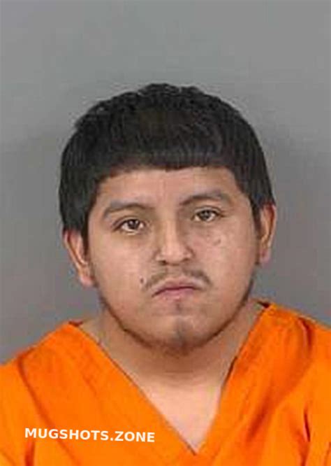 Nicolas Alejandro 11 24 2024 Collier County Mugshots Zone