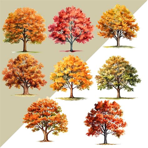 Watercolor Fall Trees Clipart Wedding Invitation Fall Etsy