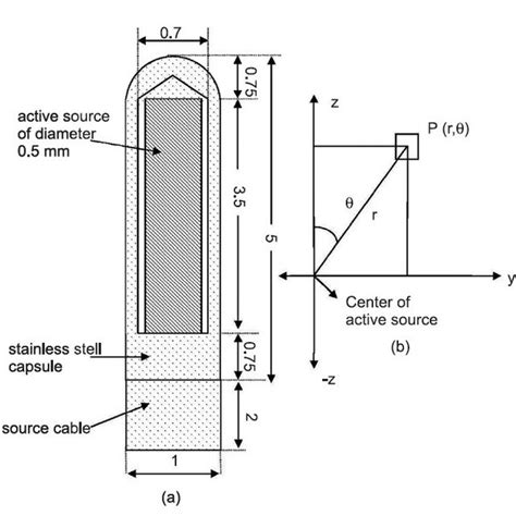 Schematic Diagram Of The New Bebig 60co Hdr Source In The Monte Carlo
