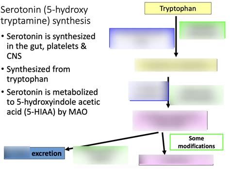 Synthesis Of Serotonin And Melatonin Diagram Quizlet
