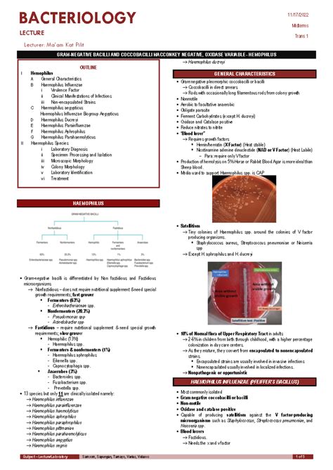 Gram Negative Bacilli And Coccobacilli Mac Conkey Negative Oxidase Variable Haemophilus