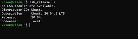 Win Wsl Ubuntu Go Vlson