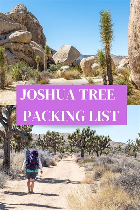 Joshua Tree Packing List