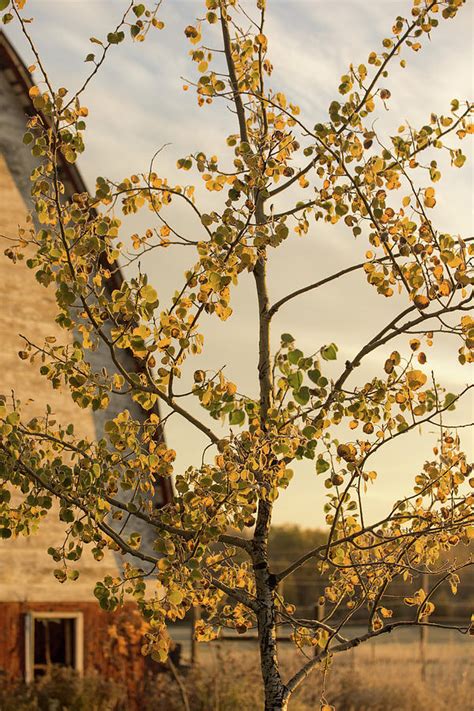 Barn Photograph By Anna Raskind Fine Art America