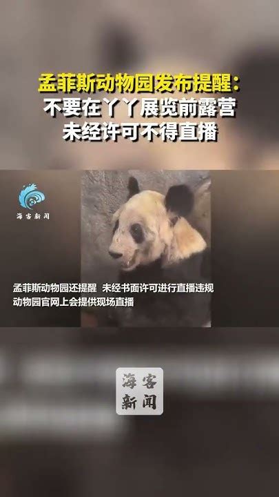 孟菲斯动物园发布提醒：不要在丫丫展览前露营，未经许可不得直播 Youtube