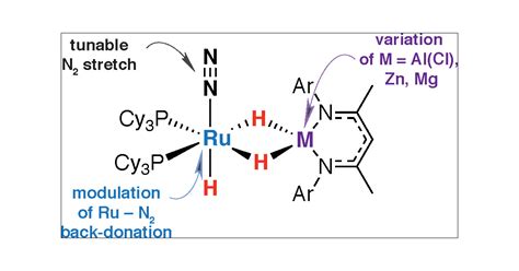 Tunable Binding Of Dinitrogen To A Series Of Heterobimetallic Hydride
