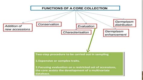 Concept Of Core And Mini Core Collection Pptx