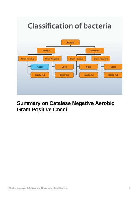 Solution 24 Streptococcal Infection And Rheumatic Heart Disease
