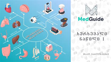 Medguide მედგიდი ანატომია ხერხემალი ნაწილი 1 Youtube