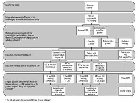 Early Endometrial Cancer Eec Management Algorithm Eth Extrafascial