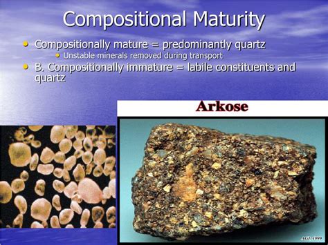 Ppt Sedimentrock Classification Powerpoint Presentation Free Download Id6716759