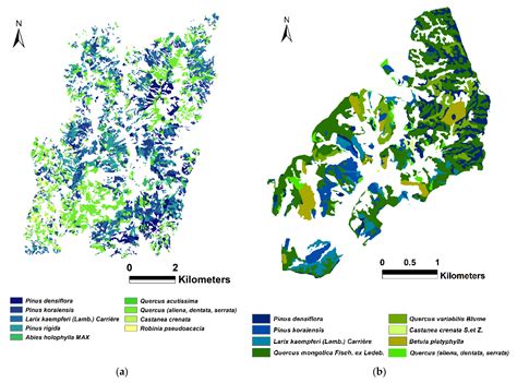 Forests | Free Full-Text | Deepening the Accuracy of Tree Species ...
