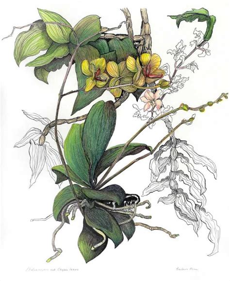 Barbara Bean Exhibit At Savory Maine Wiscasset Newspaper