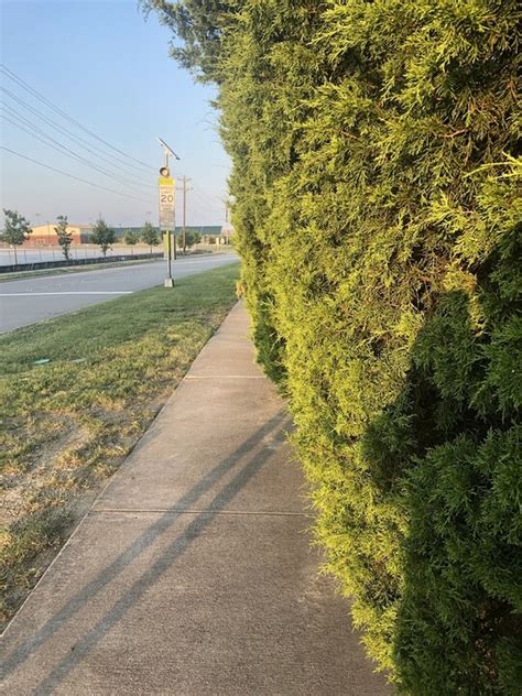 Is Your Business Scalable