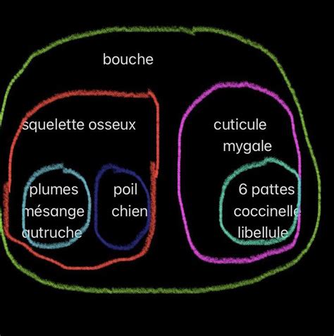 Cc Vous Pouvez Maider Svp A Laide De Ce Tableau Dattributs Classe