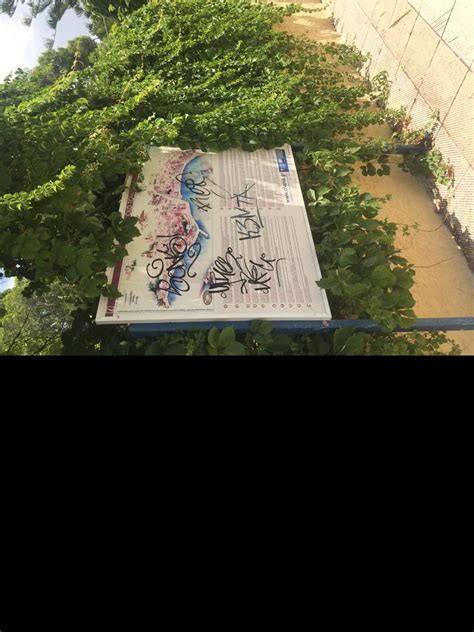 Vandalism And Graffiti Object Detection Dataset By Visionifyai Arunima