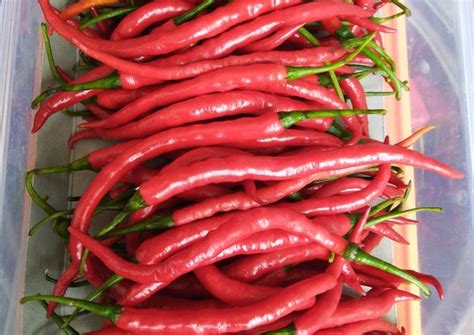 Tak Hanya Cabe Rawit Ini 6 Jenis Cabe Unik Yang Muncul Di Tantangan Masterchef Indonesia