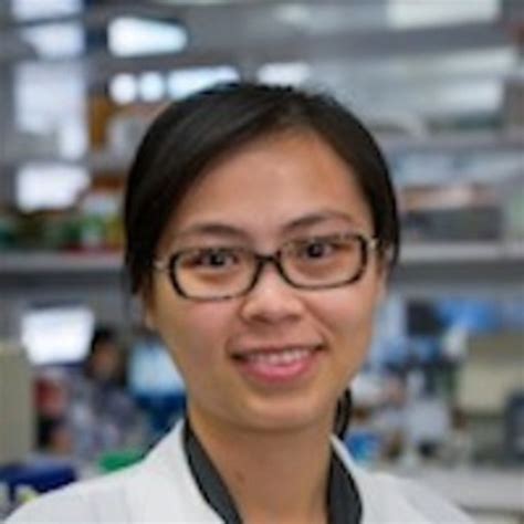 Ying Wang Postdoc Position Phd University Of Texas Southwestern