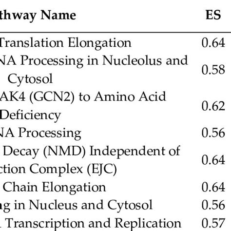 Enriched Biological Pathways According To The Reactome 2022 Database