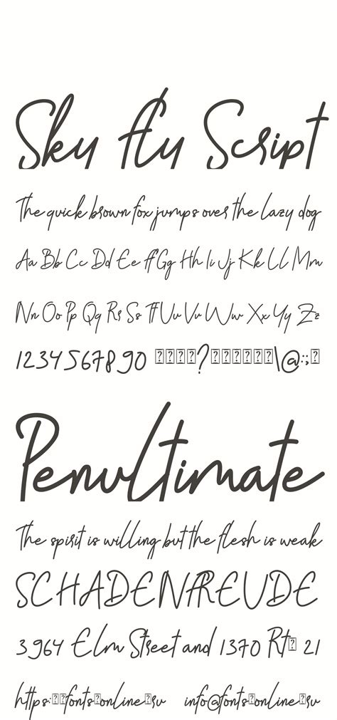Sky Fly Script шрифт