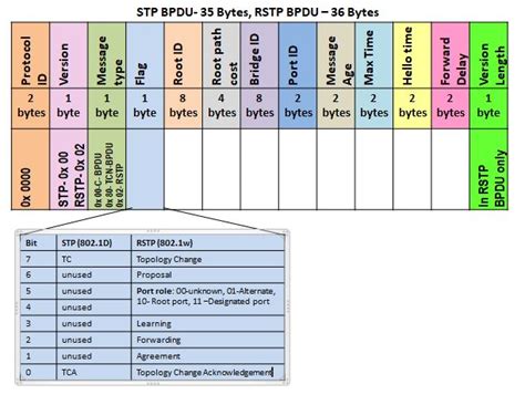 Different Types Of Spanning Tree Protocol Explore
