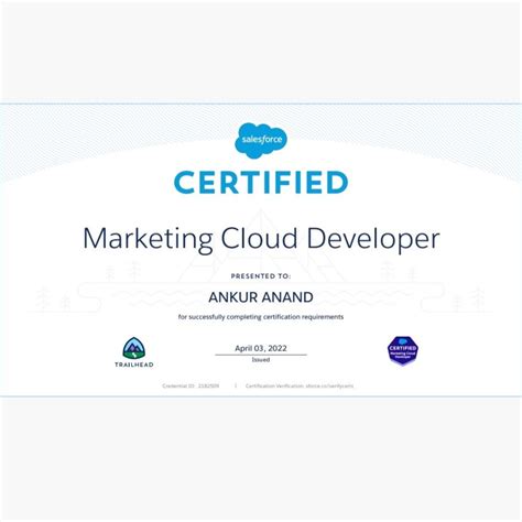 Salesforcecertified Salesforcemarketingcloud Salesforcedeveloper Sfmc Ankur Anand
