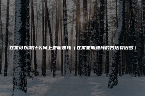 在家可以做什么网上兼职赚钱（在家兼职赚钱的方法有很多） 高羽网创