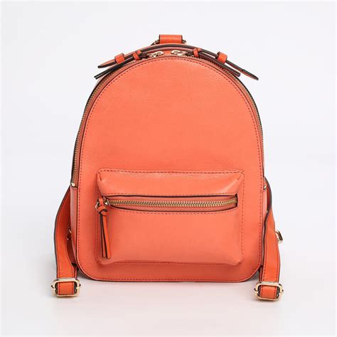 Skye Luo Standford Handbags On Linkedin Mini Backpack