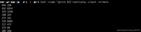 linux 查看文件句柄信息 linux 查看文件句柄读写情况 csdn博客