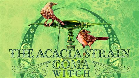 The Acacia Strain Wallpapers Top Free The Acacia Strain Backgrounds