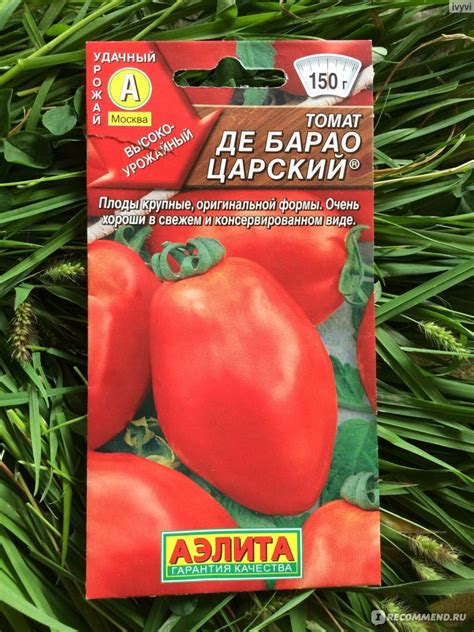 Семена Томат "Де Барао Царский" Аэлита - «🍅Знаменитый помидор. Красивый ...