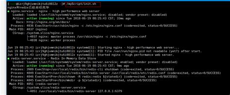 Write Scripts In Linux And Open Multiple Services We Set Ourselves Including Timed Script