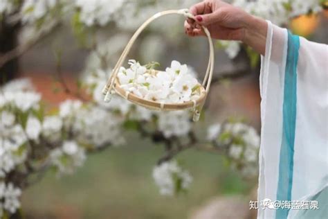 诗词格律一一文看懂格律 知乎