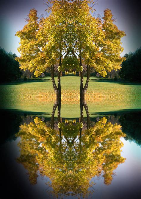 Mirror Tree By Annpav On Deviantart
