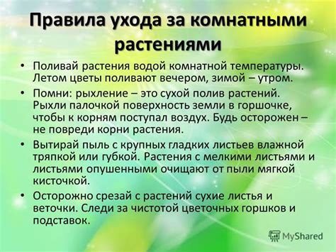 Презентация на тему Исследовательская работа «Влияние комнатных