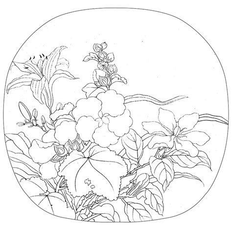 花鸟画丨白描稿 佚名