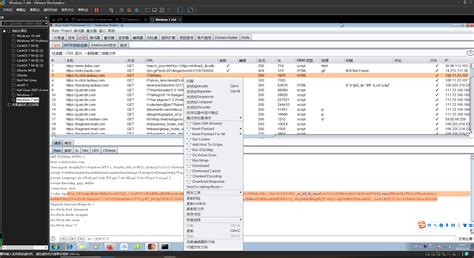 关于插件的使用问题 Issue 41 bit4woo knife GitHub