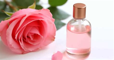 7 Homemade Natural Shampoo Recipes For Healthier Hair Snappy Living