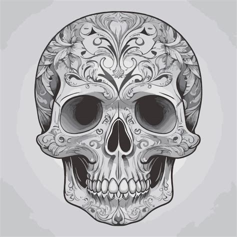 Premium Vector Skull Drawing Vector On A White Background