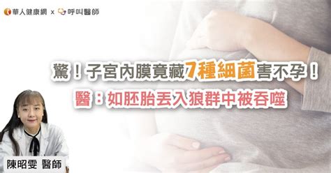 驚！子宮內膜竟藏7種細菌害不孕！醫：如胚胎丟入狼群中被吞噬 華人健康網 專業即時優質的健康新聞及資訊分享平台業即時優質的健康新聞及資訊分享平台