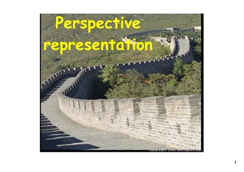 Perspective Representation Ppt