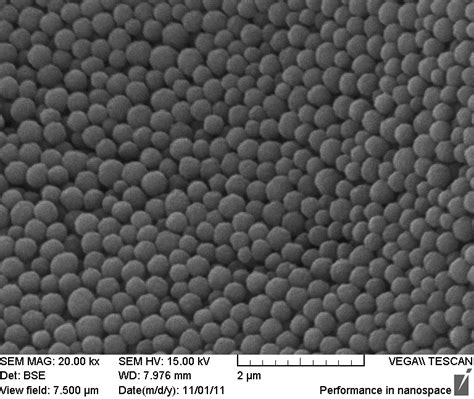 Sem Scanning Electron Microscope Image Of Nanoplastic Particles The
