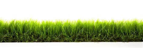 Premium Photo Green Grass Isolated On White Background